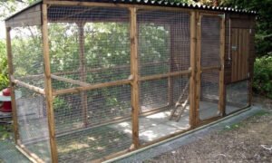 Poultry Fencing - Covai Wire Netting Company